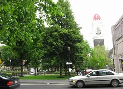 How Do Trees Reduce Flooding? – Replant Clarksville